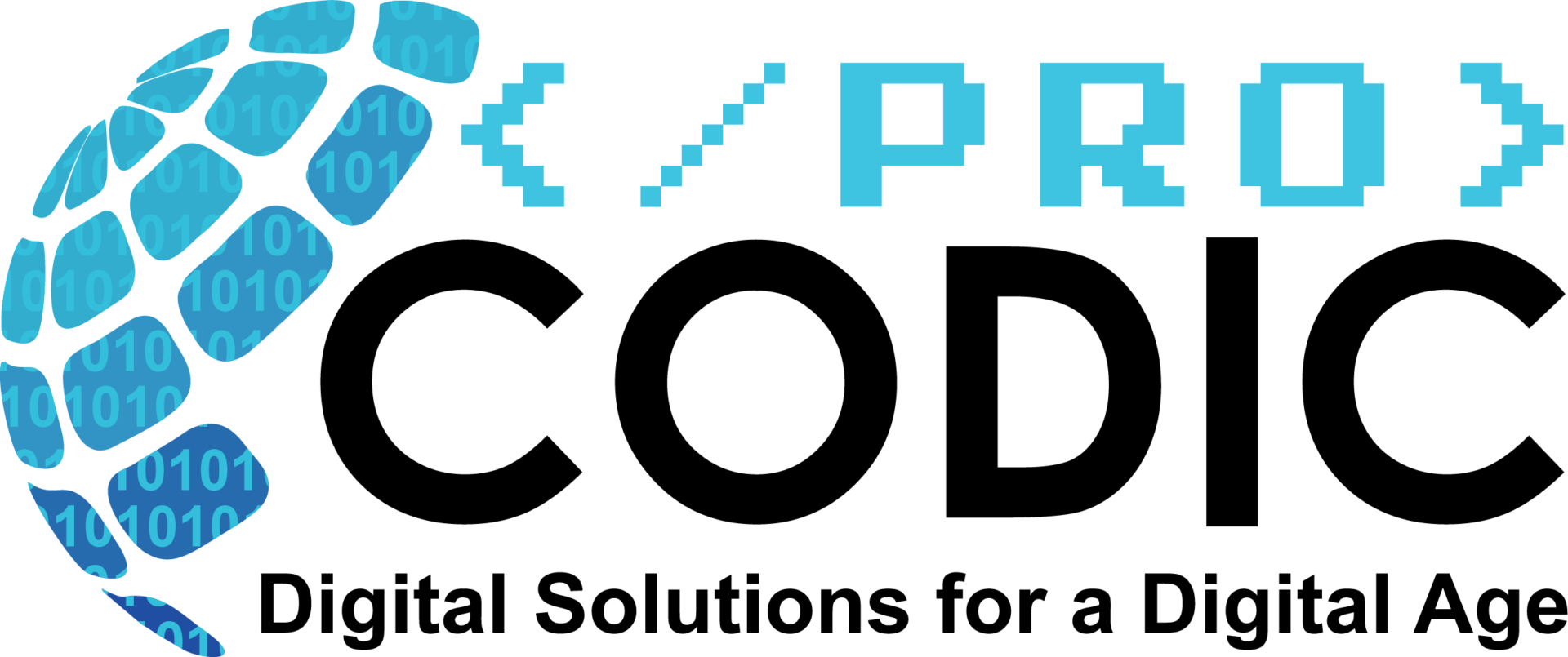 Codic Pro - Digital Solutions for a Digital Age