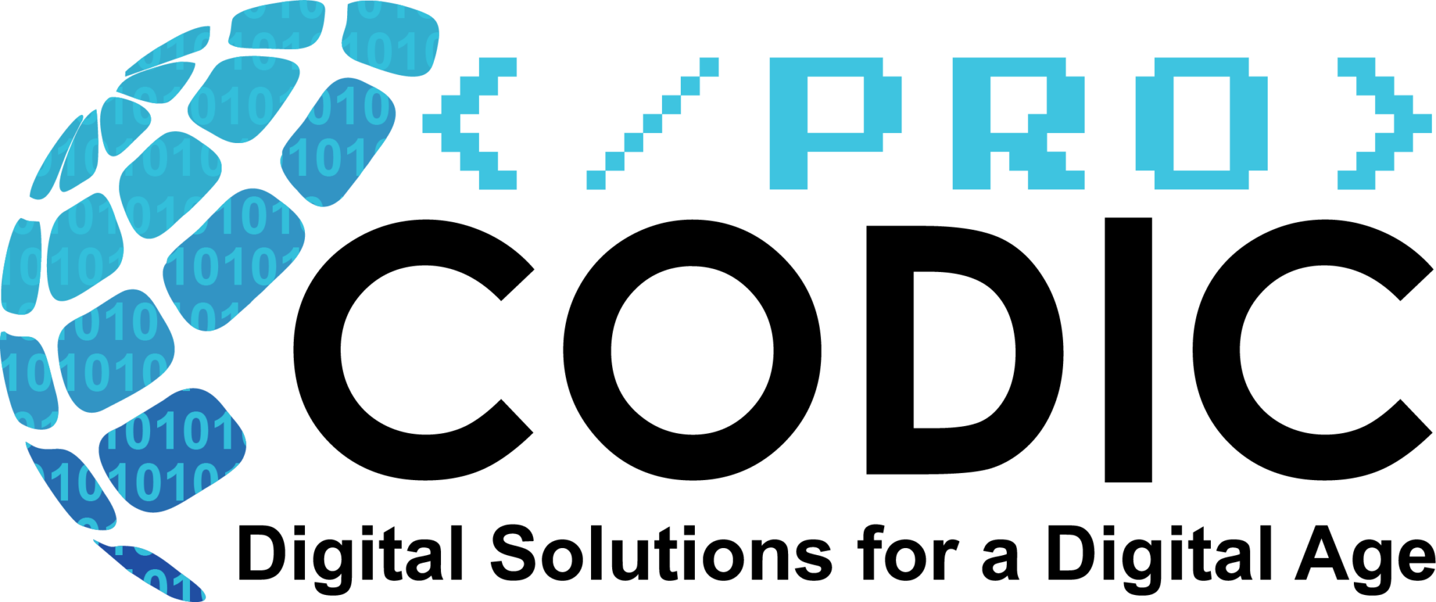 Codic Pro - Digital Solutions for a Digital Age